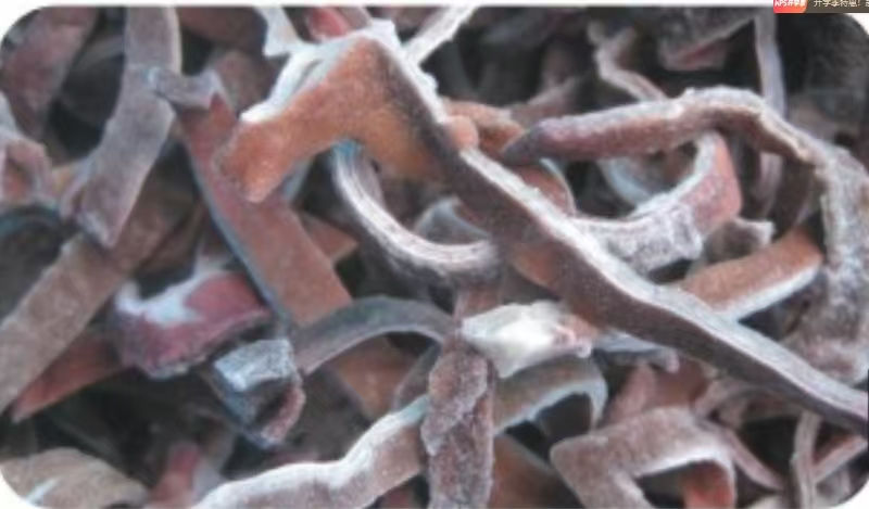 Gexin Food - Your Reliable Frozen Food Partner